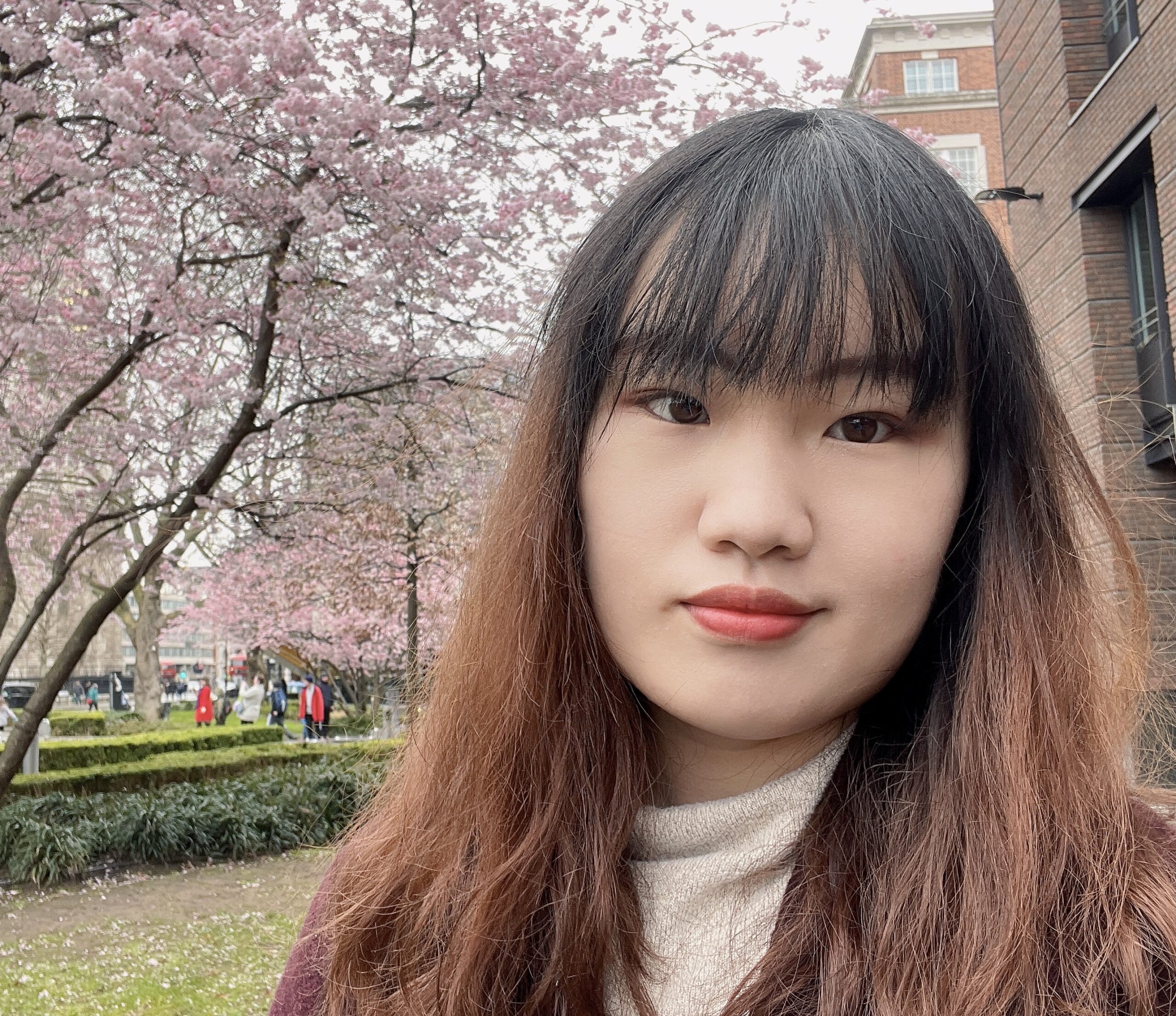 Hanqing Zhang - LAHP